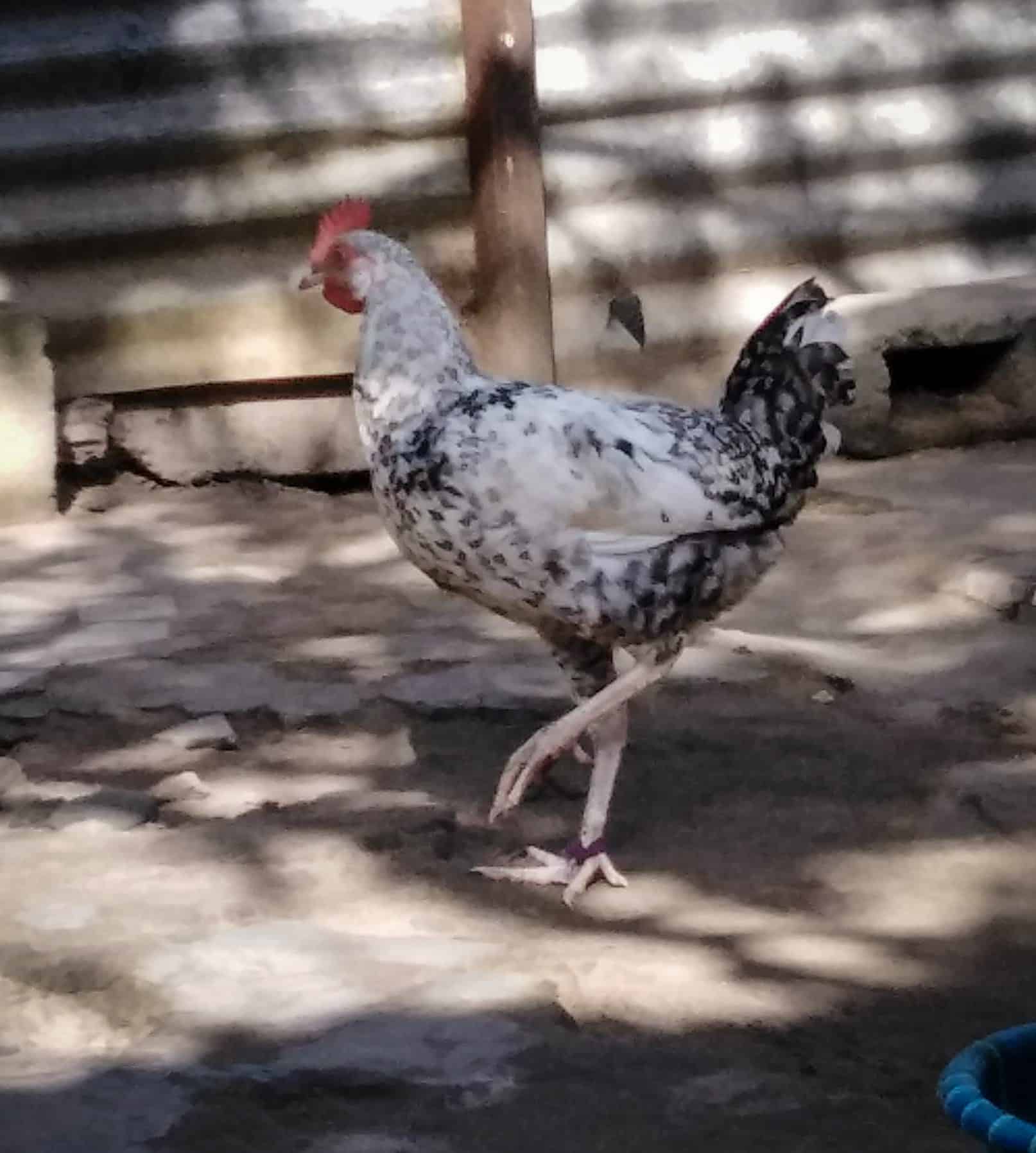 150 Grams to Cups (With a Handy Converter)