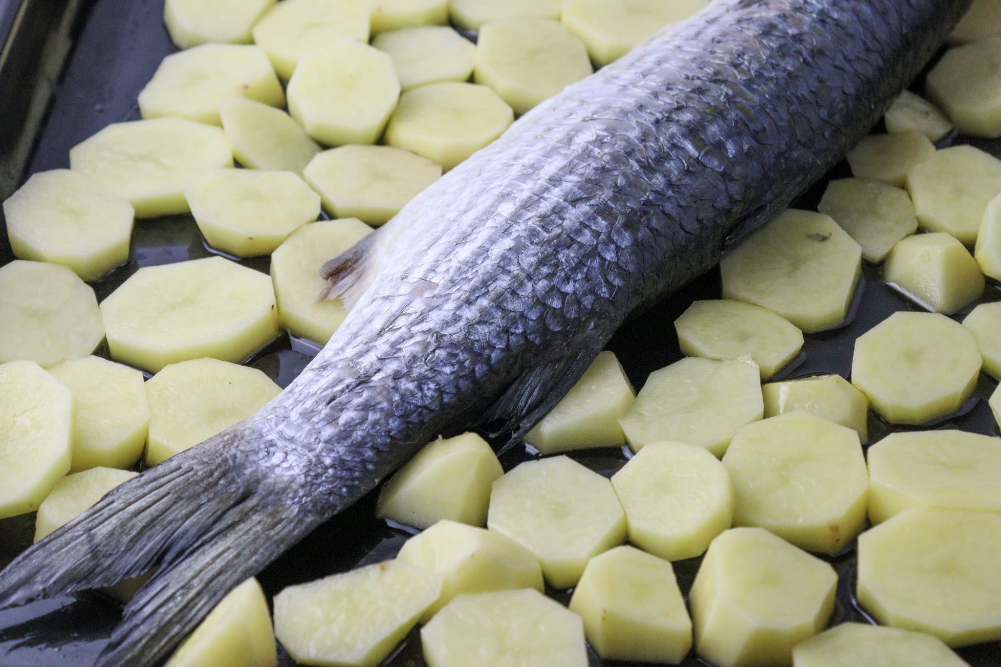 Oven baked grey mullet (with vegetables)