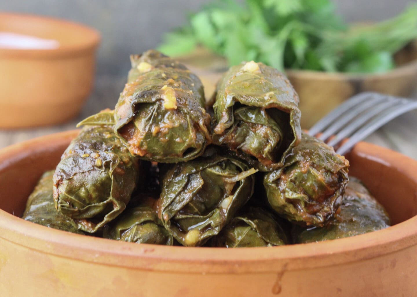 Japrak - Baked Stuffed Grape Leaves